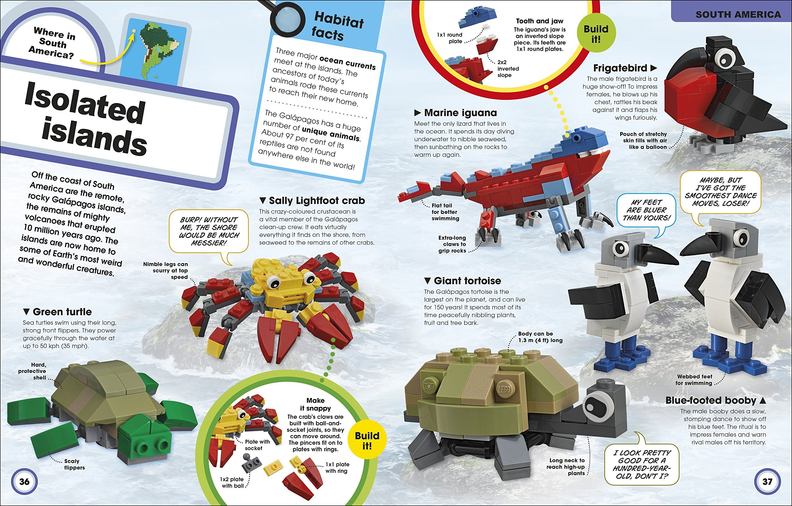 LEGO Animal Atlas | 9780241316573 | LEGO Boeken | BRICKshop - LEGO en ...